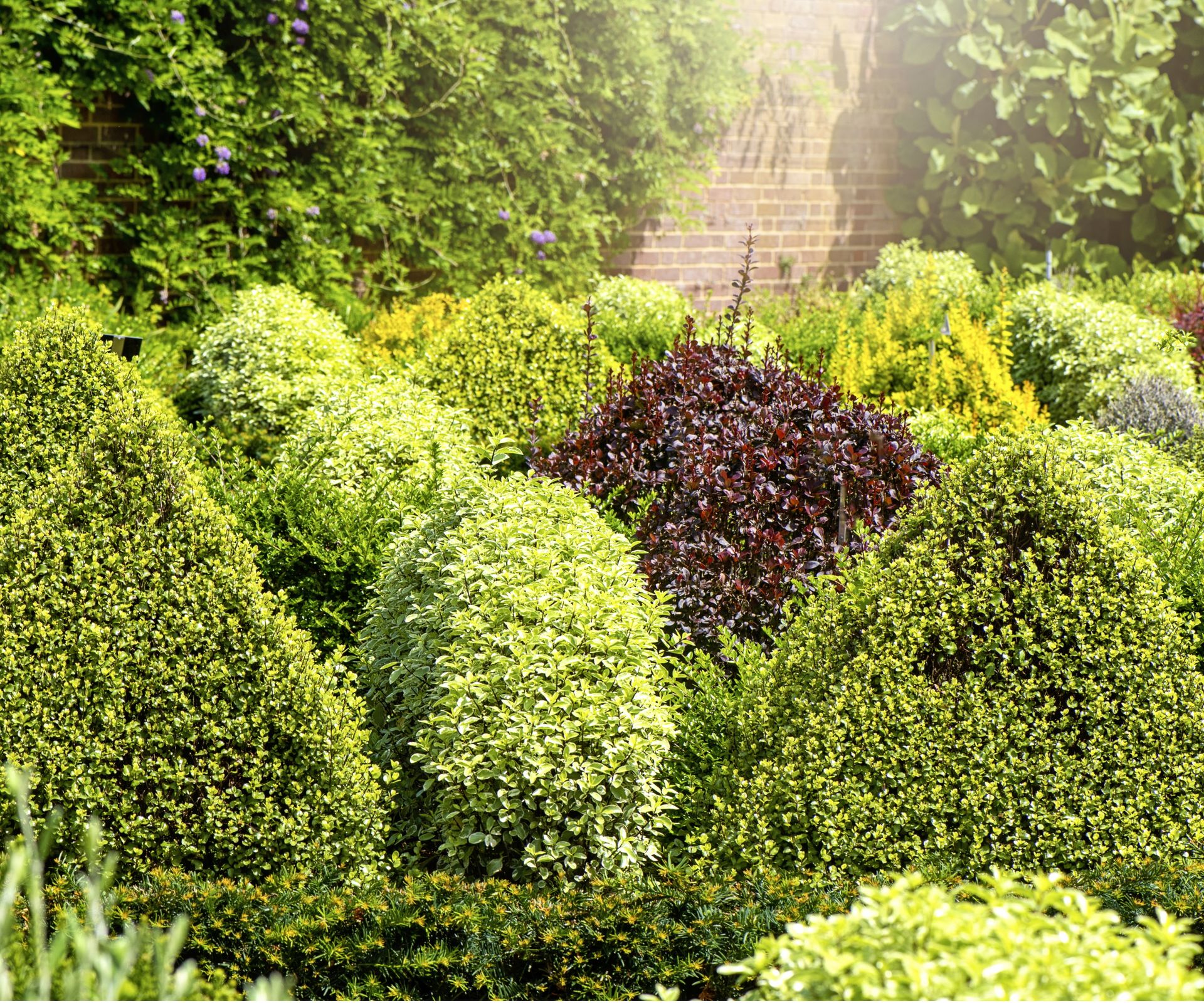 How to create an Italian garden for a Mediterranean escape | Homes and ...