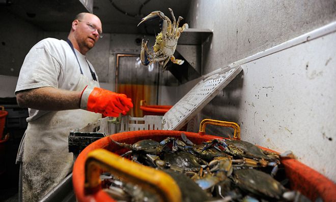 Catch of the day | The Week