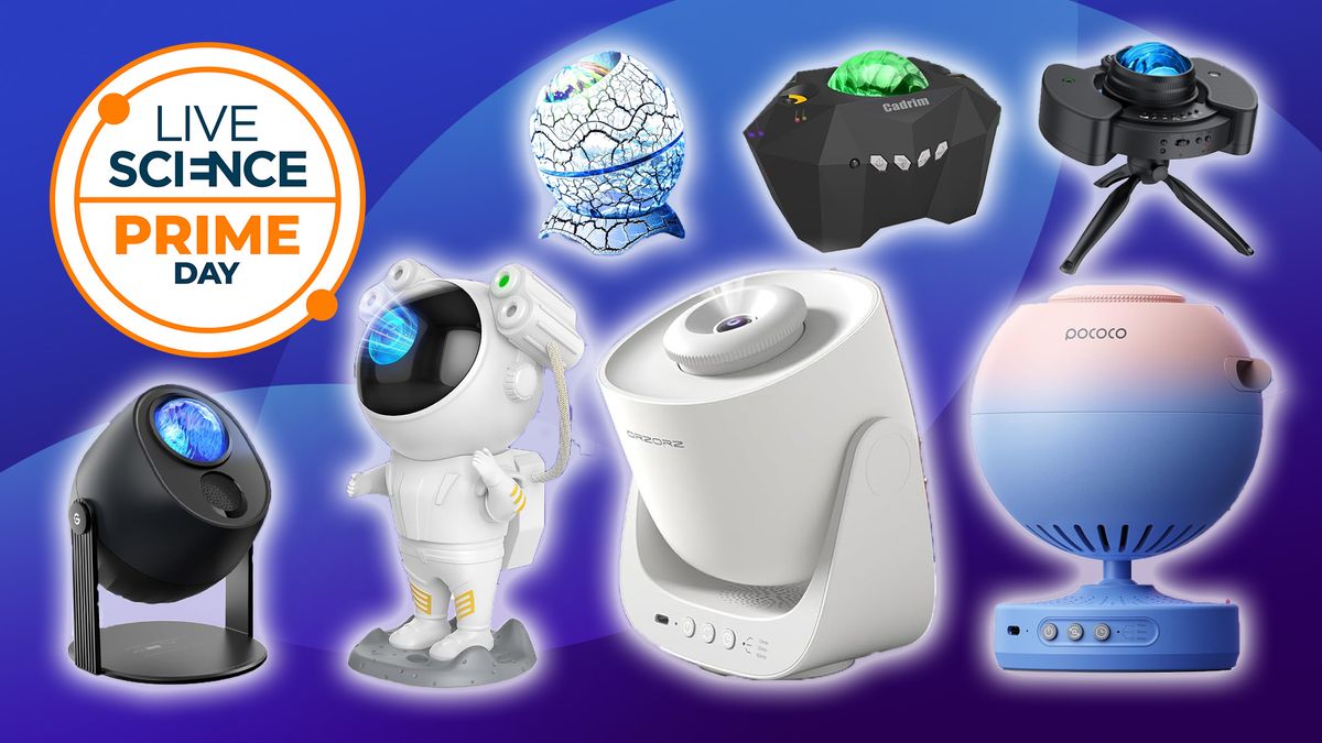 It's the final day of Amazon Prime Day — these are the only star ...