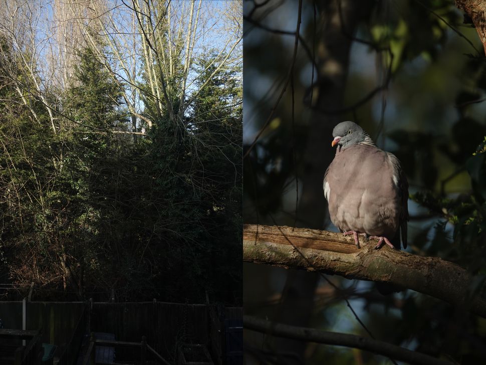 RIP: Sony just killed off one of my favorite cameras | Digital Camera World