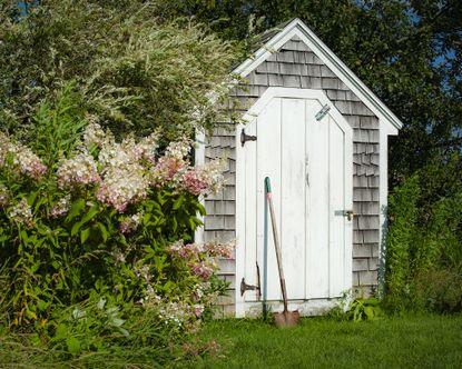 5 Expert Tips To Spruce Up Your Shed Before Spring | Gardening Know How