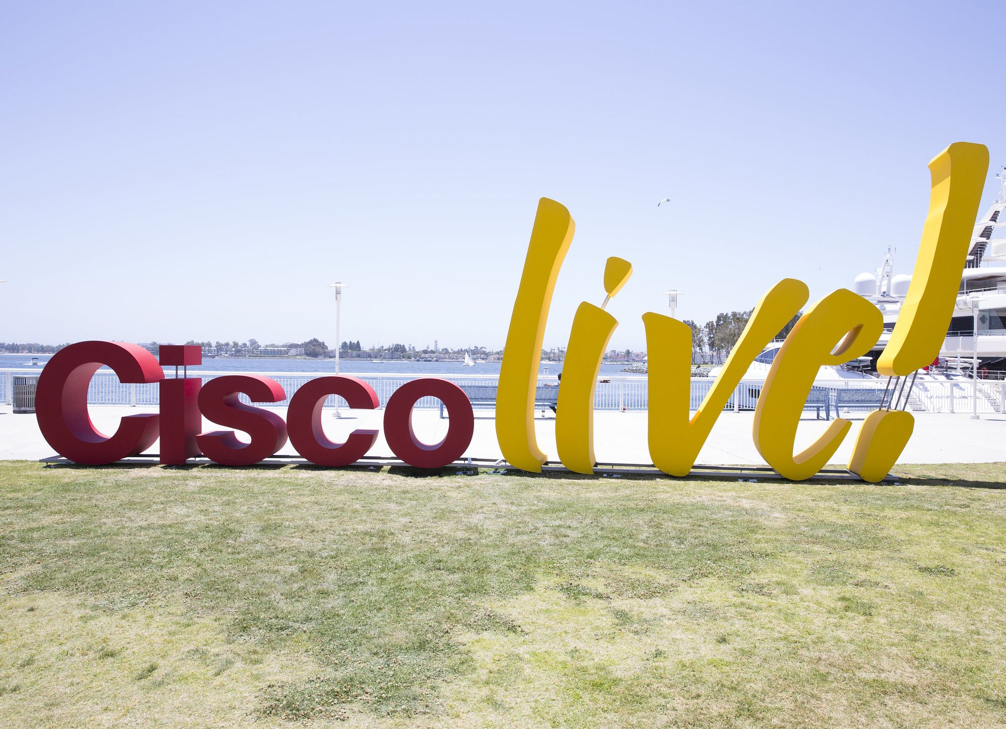 Cisco says its 35-year history will give it an edge in AI | IT Pro