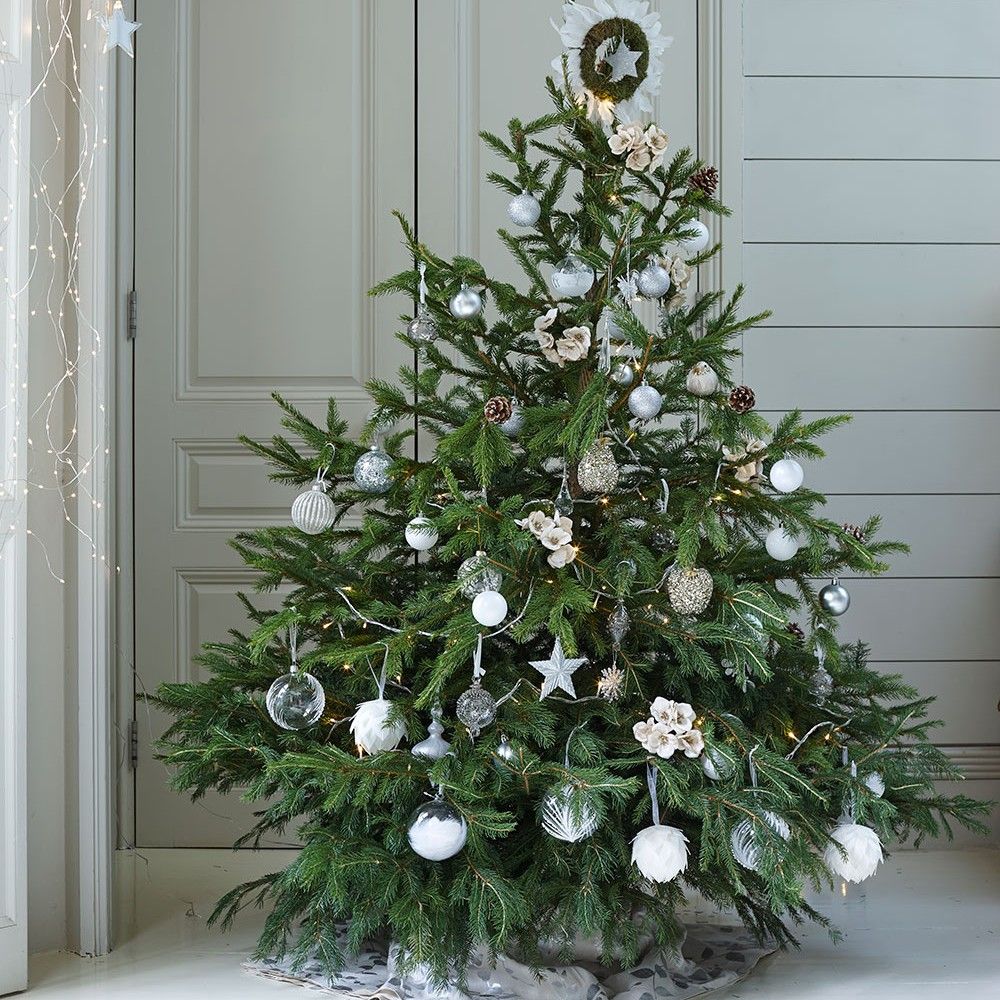 How to decorate a Christmas tree- a step by step guide with tips from ...