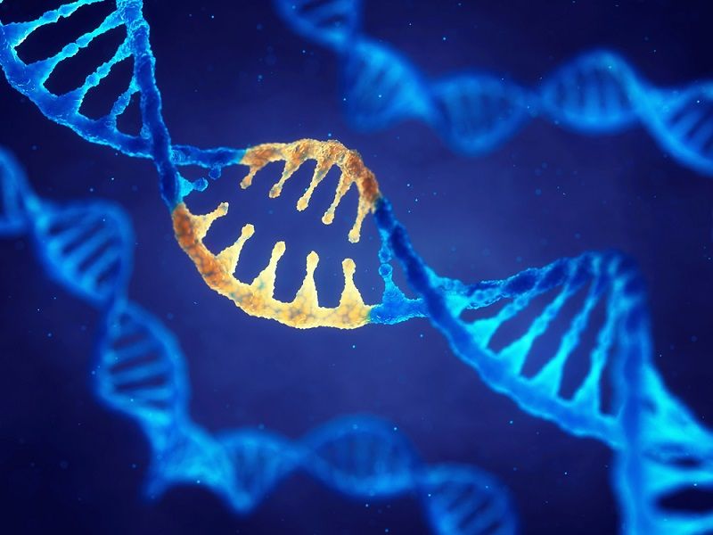 What is a gene drive? | Live Science