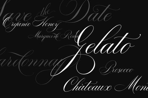 Font of the day: Bodega Script | Creative Bloq