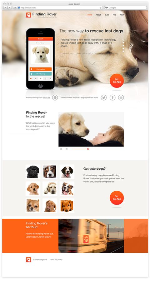 App finds lost dogs through facial recognition | Creative Bloq