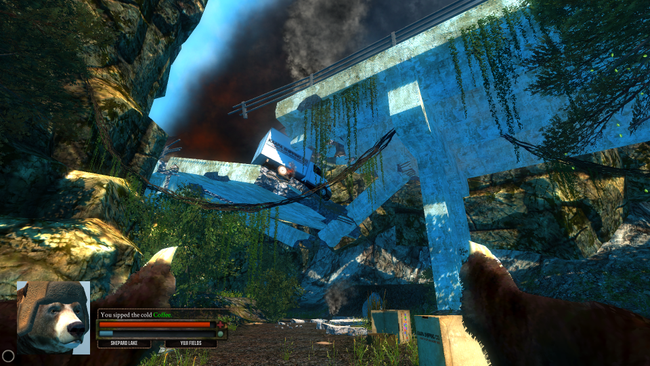 What it's like to be a bear in Bear Simulator | PC Gamer