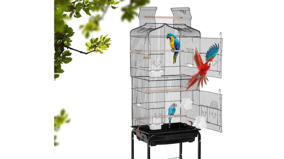Best parrot cage: Get a first-rate home for your bird | PetsRadar