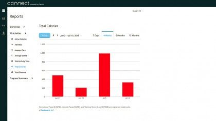 Software, Other Features and Verdict - Garmin Swim review - Page 2 | TechRadar