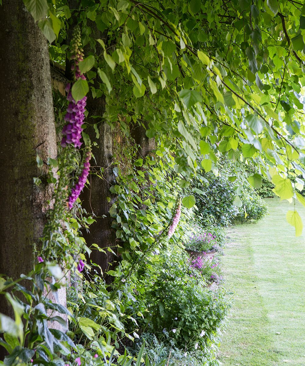 A Wiltshire garden with form and flair | Homes and Gardens