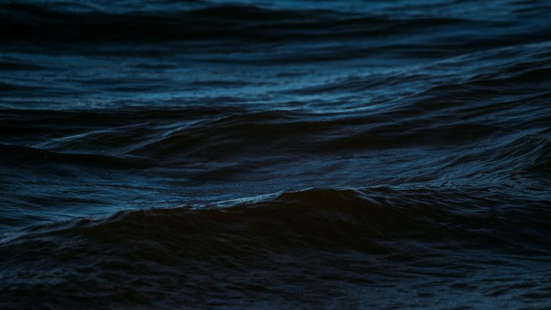 Science: News, analysis and opinion - Page 2 | The Week