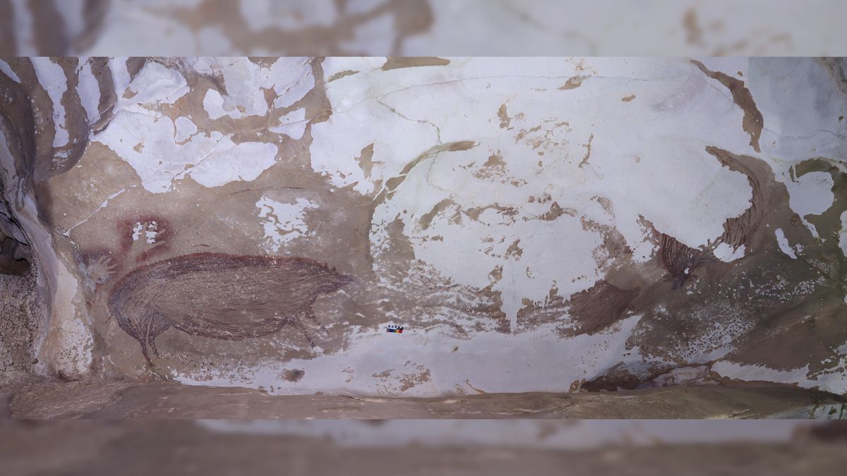 Warty pig is oldest animal cave art on record | Live Science