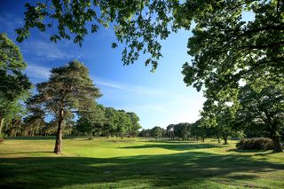 Woking Golf Club: Course Review, Green Fees, Tee Times and Key Info ...