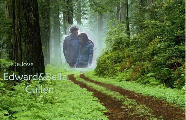 Very Bad Twilight Fan Art | GamesRadar+