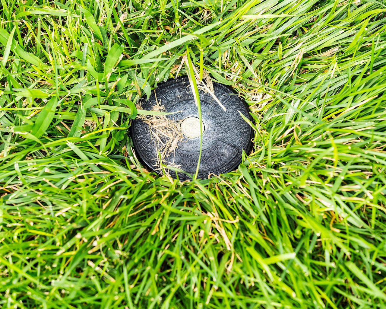 How to replace a sprinkler head: a step-by-step guide | Gardeningetc