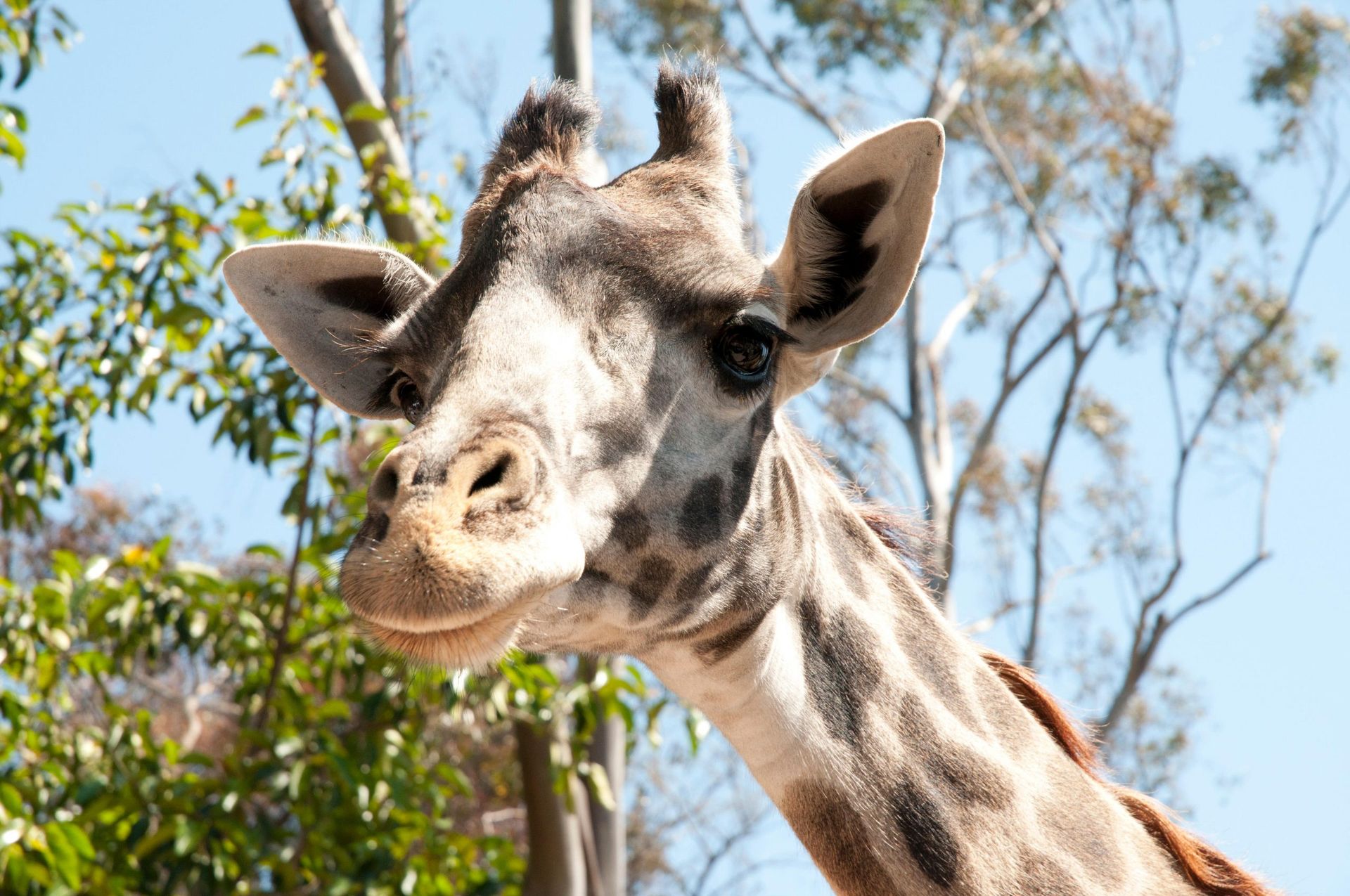 Best free virtual tours for kids: Museums, castles and more- Good To ...