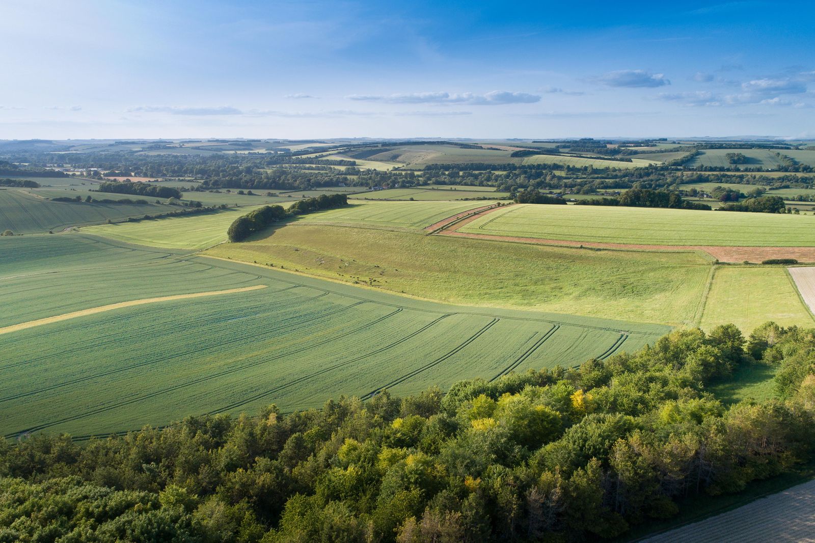 The 1,800-acre estate of the man who bought Stonehenge has come up for ...