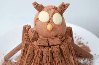 Gruffalo owl ice cream Recipes | GoodtoKnow
