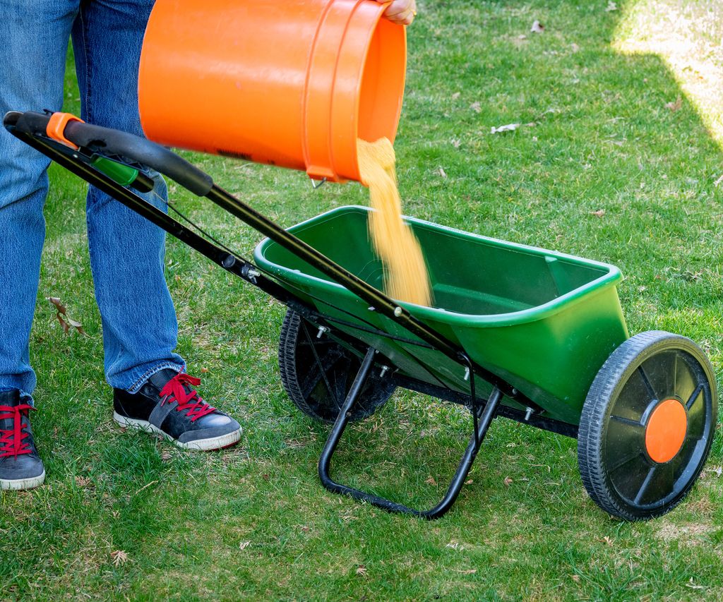 Why using sand on lawns could be the answer to perfect grass | Homebuilding