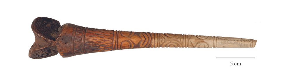 Why New Guinea Warriors Prized Human Bone Daggers | Live Science