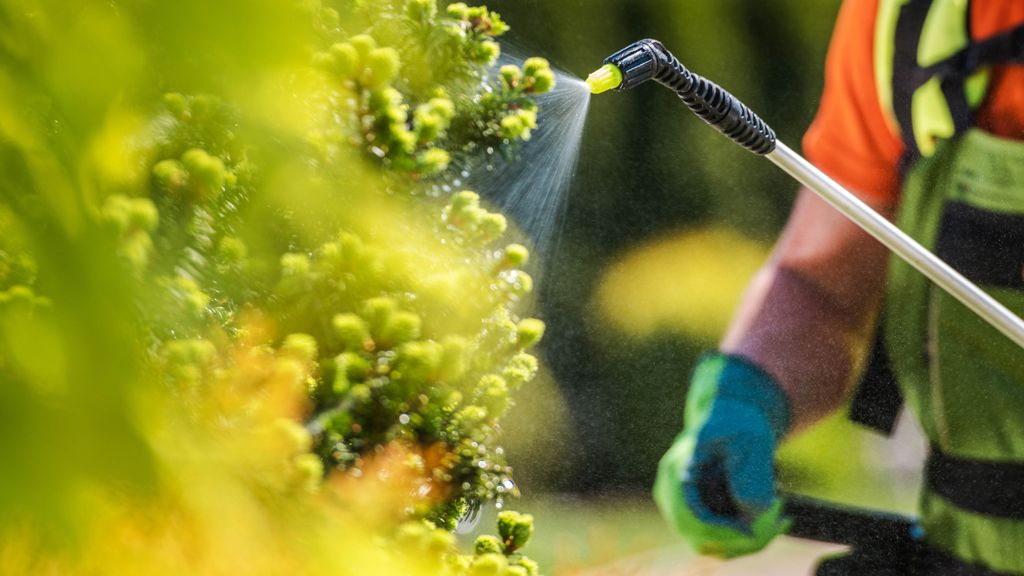 Joro spiders: What they are and how to get rid of them | Tom's Guide