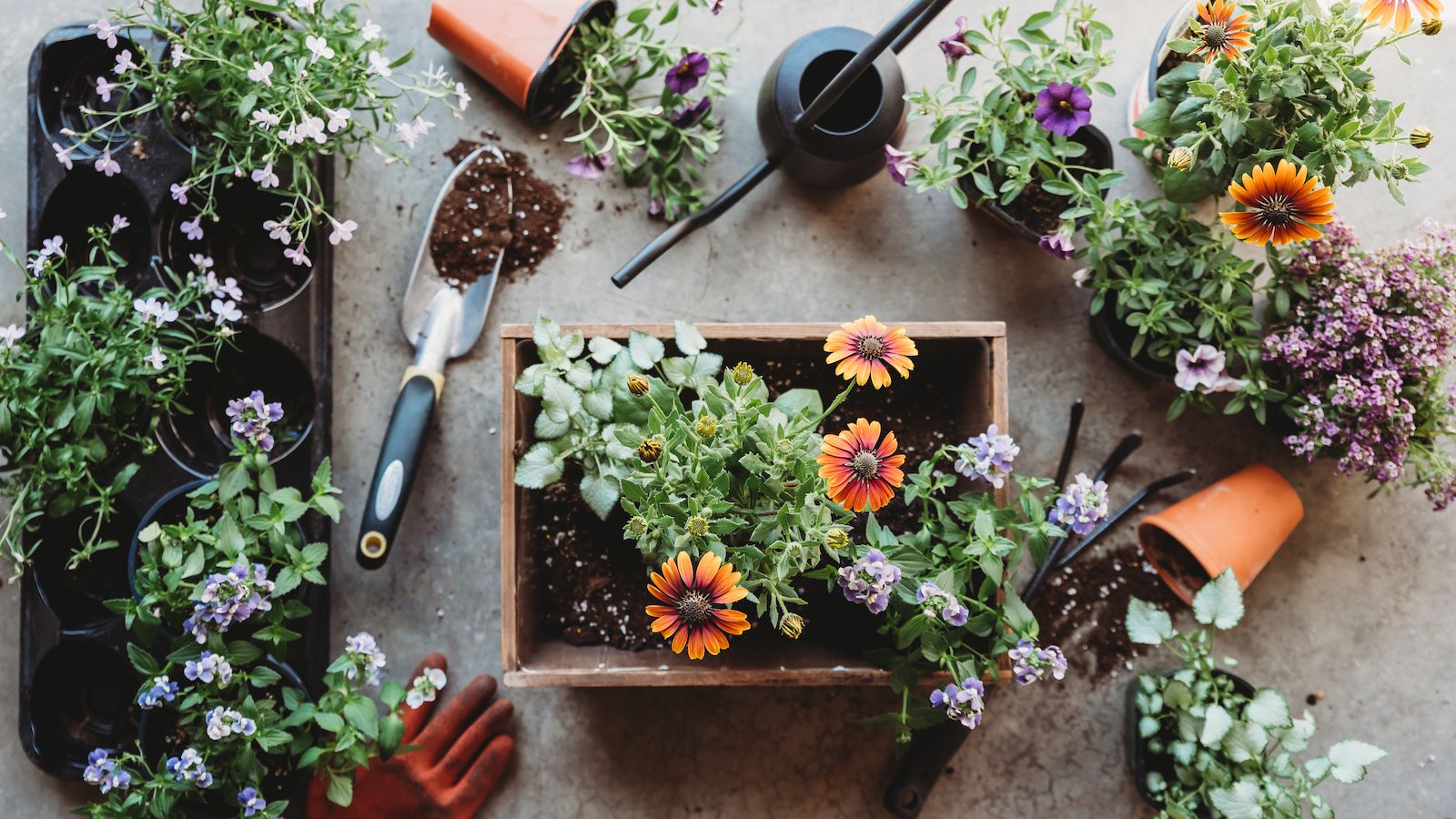 What gardening zone am I in? Here's how to find out | Real Homes