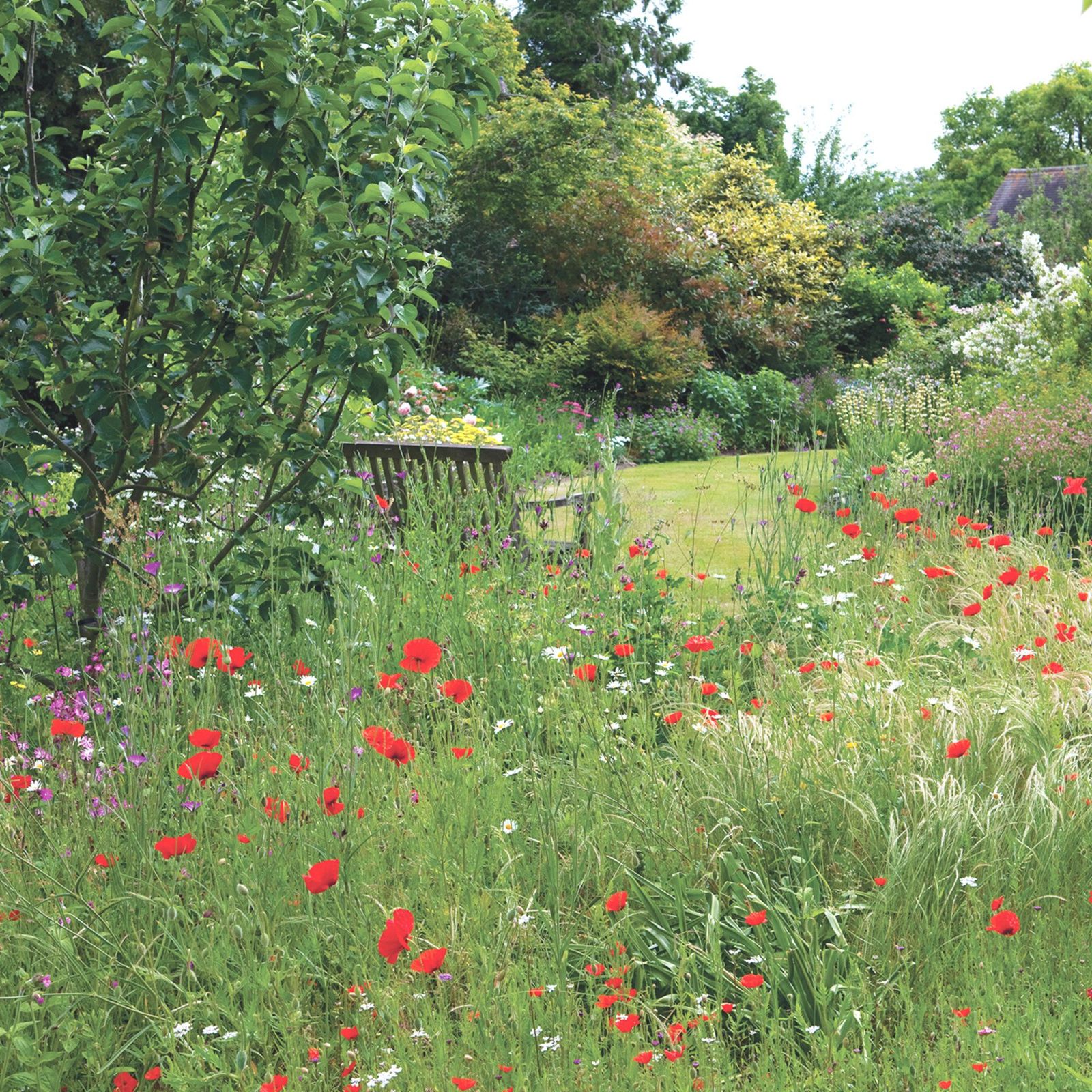 Wildflower garden ideas - clever pollinator planting for every garden ...