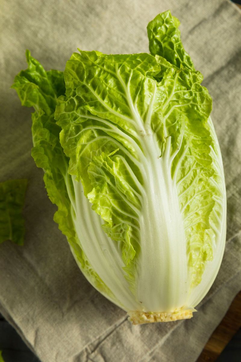 Tips & Information about Cabbage - Page 3 | Gardening Know How