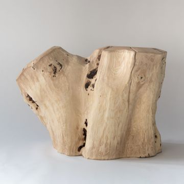 SCP presents The One Tree Project at LDF 2022 | Wallpaper*