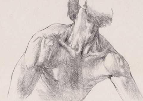 How to draw a neck and shoulders | Creative Bloq