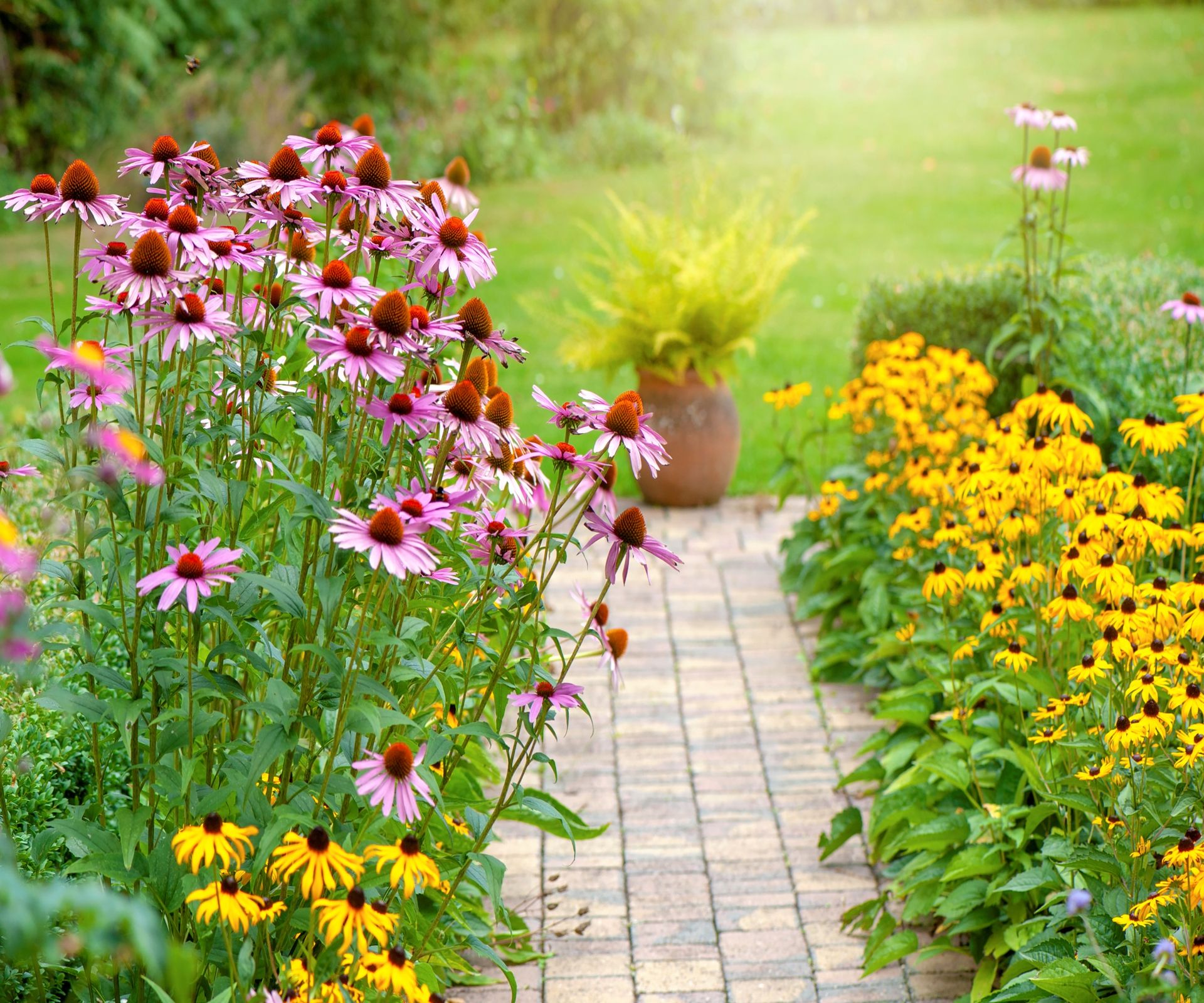 Summer gardening checklist - 11 jobs to get a gorgeous yard | Homes and ...