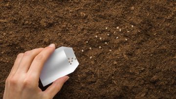 How to turn over soil: a step-by-step expert guide | Homes and Gardens