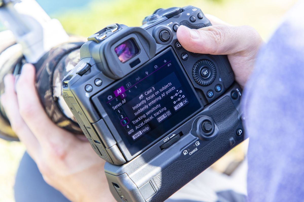 10 pro tips for puffin portraits: take amazing wildlife shots with your ...