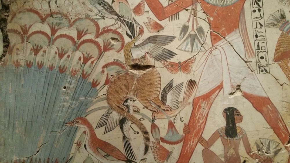 Photos: Ancient Cat Remains Tell the Tale of Kitty Domestication | Live ...