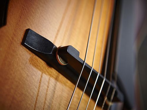 Wishlist: Buscarino Corey Christiansen Model Archtop | MusicRadar