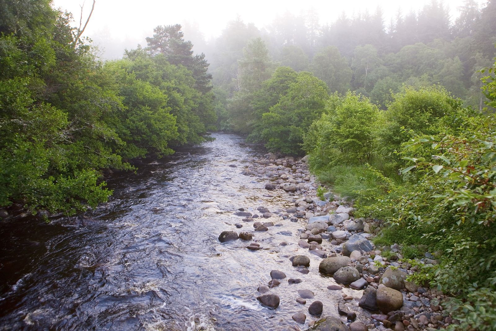 Birkhall: The home of The Prince of Wales on the Balmoral estate ...