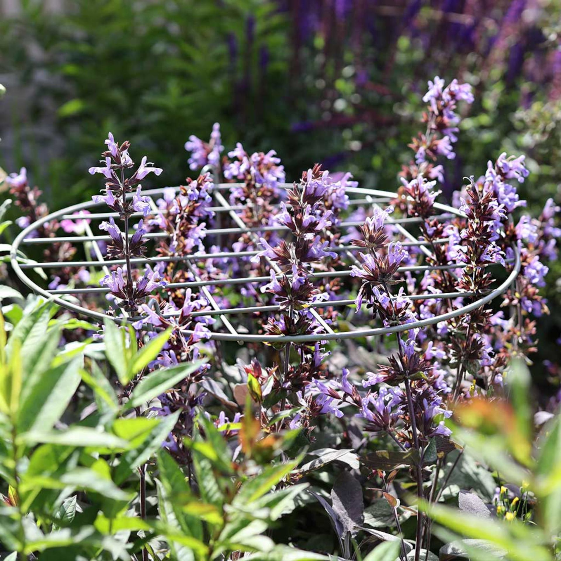 I've found the best plant supports to keep my garden in shape | Ideal Home