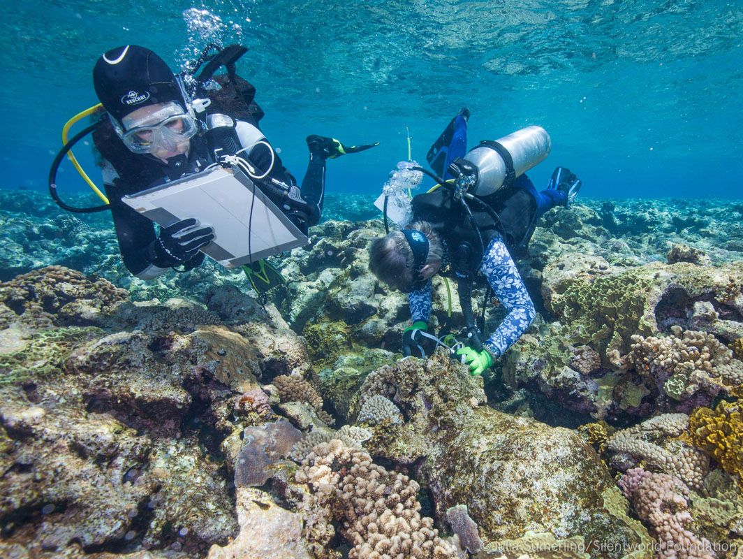 Photos: Notoriously Dangerous Ocean Reef Holds Shipwreck Secrets | Live ...