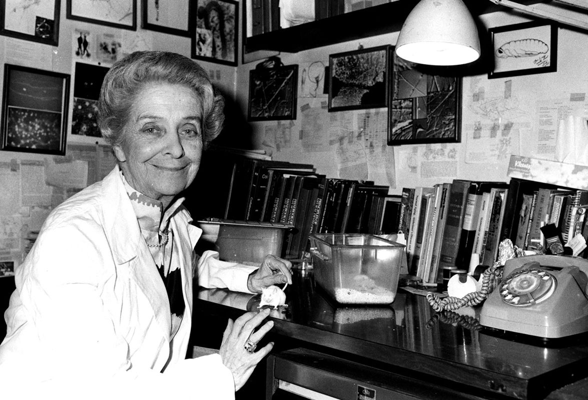 11 Immigrant Scientists Who Made Great Contributions to America | Live ...