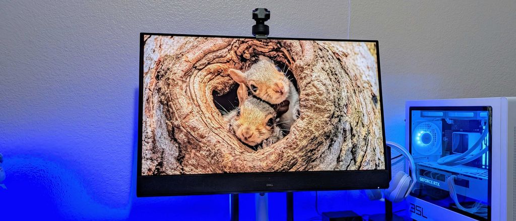 Dell 32 Plus 4K QD-OLED Monitor review: Something's missing | Windows ...