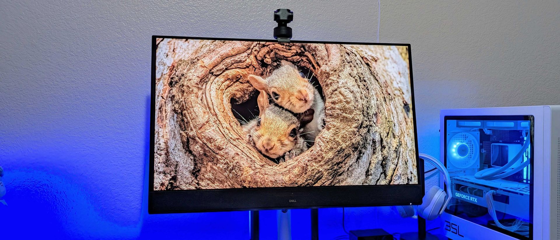 Dell 32 Plus 4K QD-OLED Monitor review: Something's missing | Windows ...