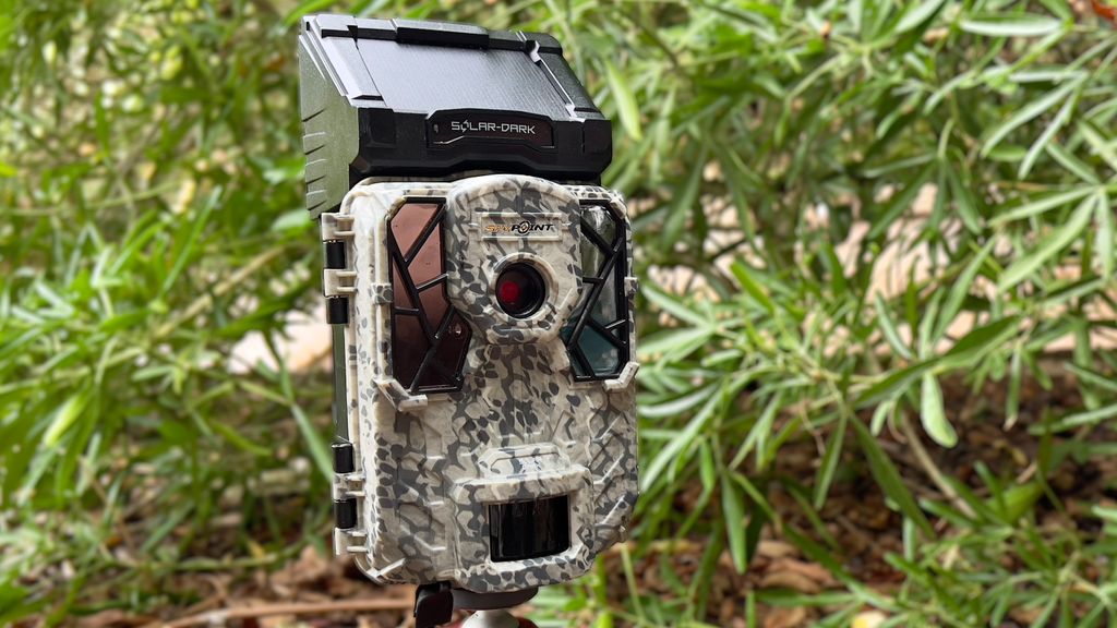 The best trail cameras in 2023 | Digital Camera World