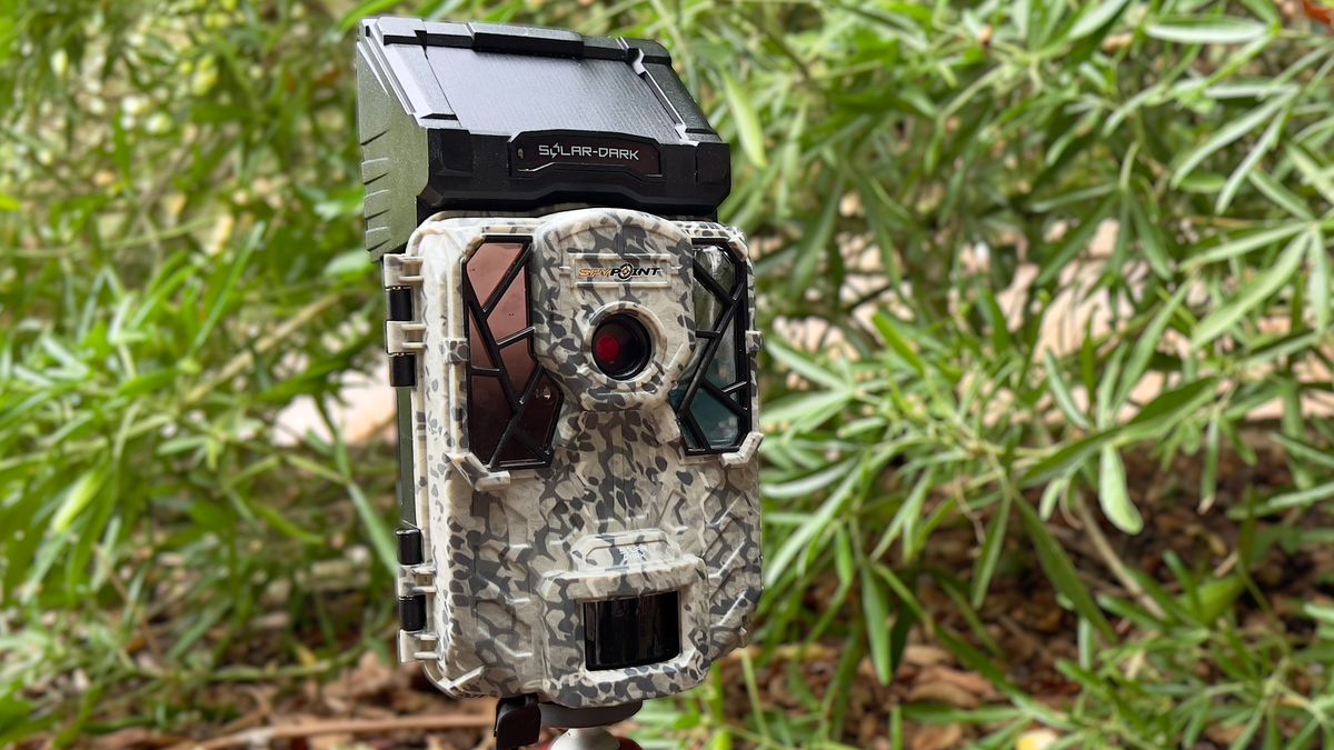 The best trail cameras in 2023 | Digital Camera World
