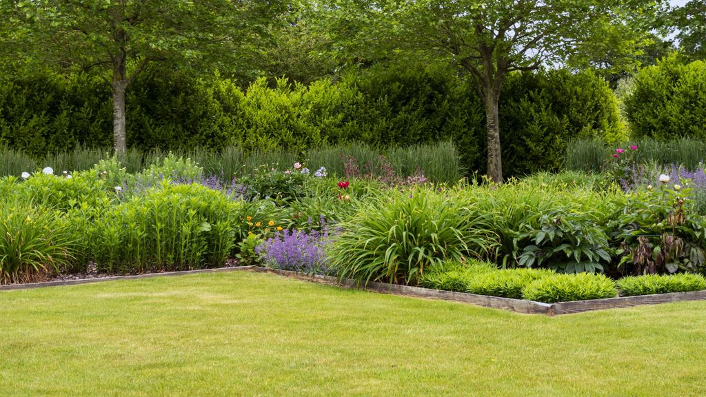 Best rabbit repellent plants: 10 plants to protect your yard | Homes ...