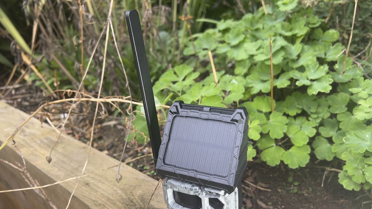 Spypoint Link-Micro-S-LTE trail camera review | Digital Camera World