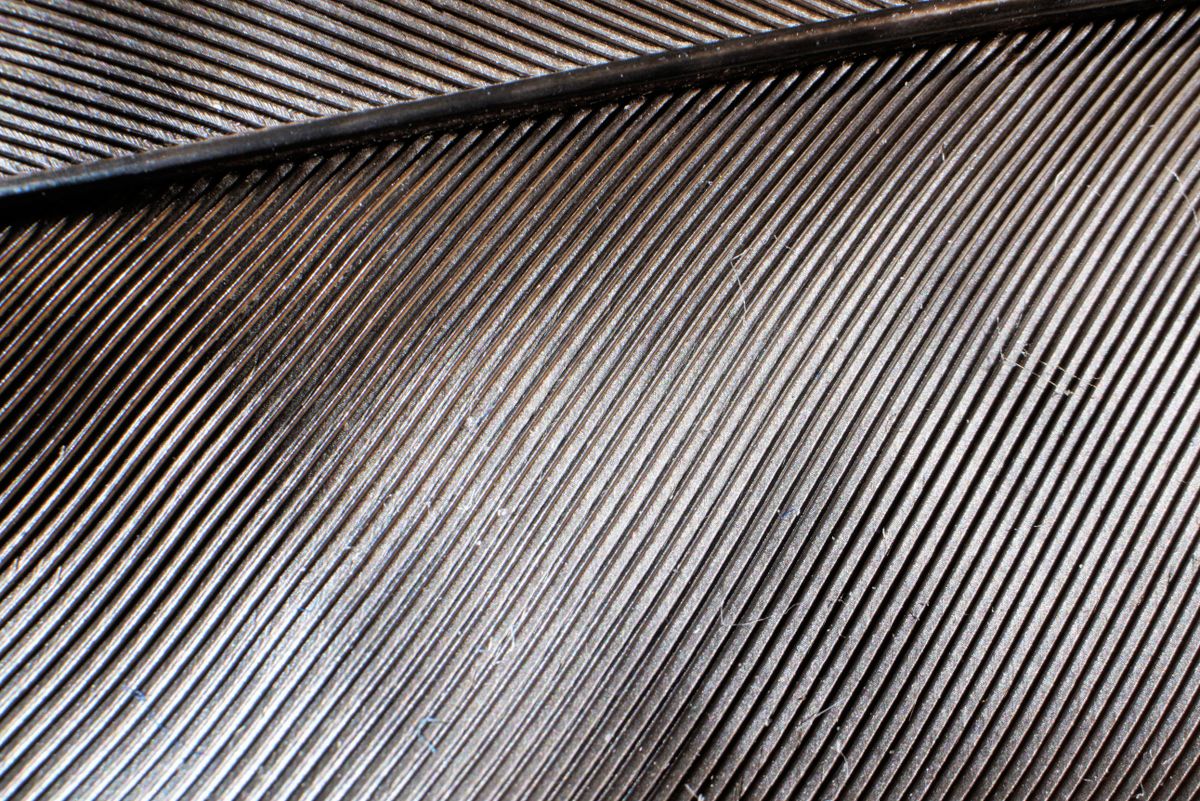 AstrHori 18mm f/8 2x Periscope Probe Macro review | Digital Camera World