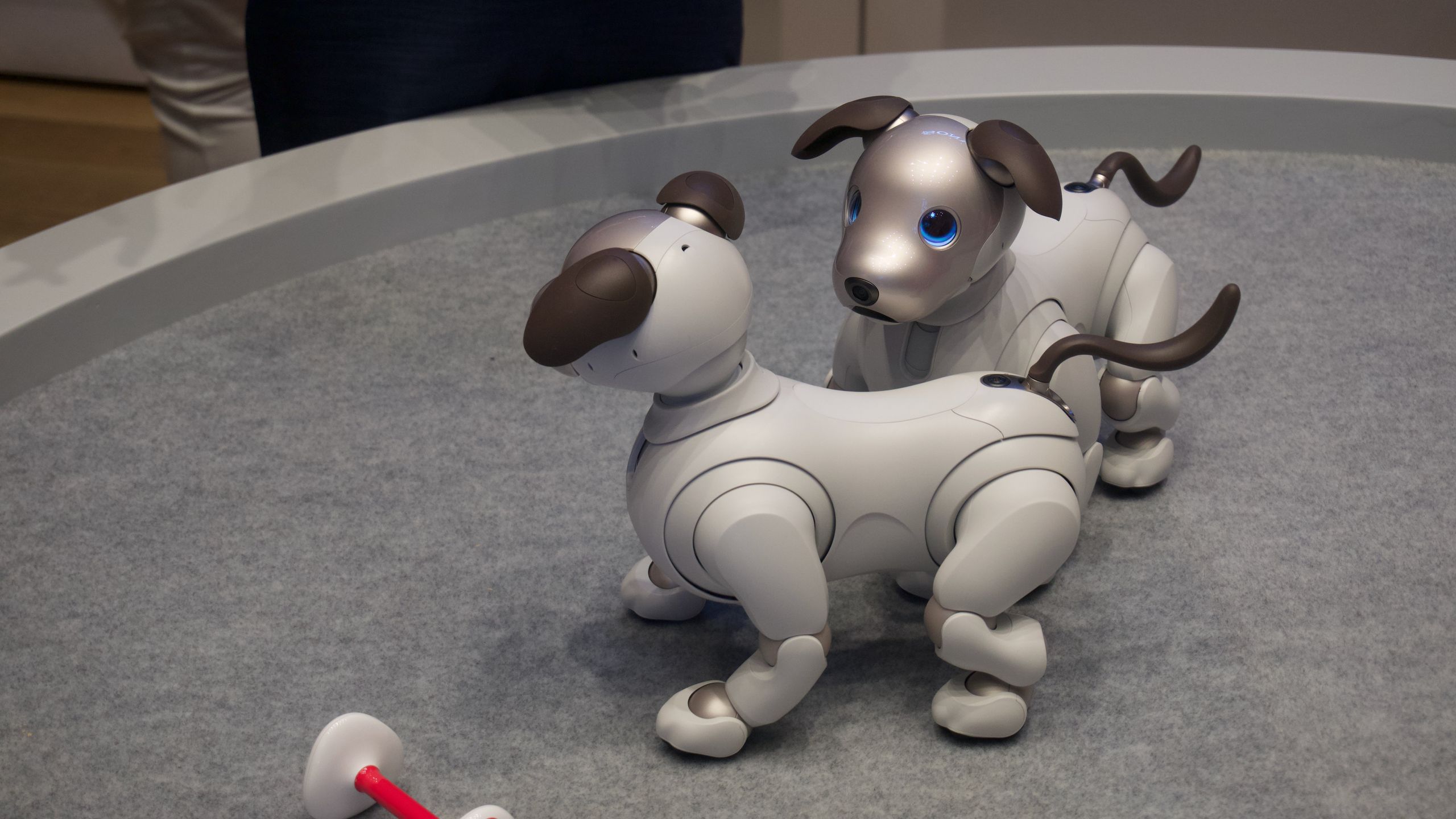 Hands on: Sony Aibo review | TechRadar