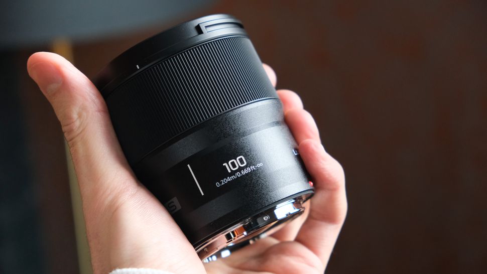 The best macro lenses in 2025 | Digital Camera World