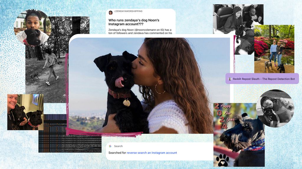 Who Runs @nooncolemann, Zendaya Dog's Instagram? | Marie Claire