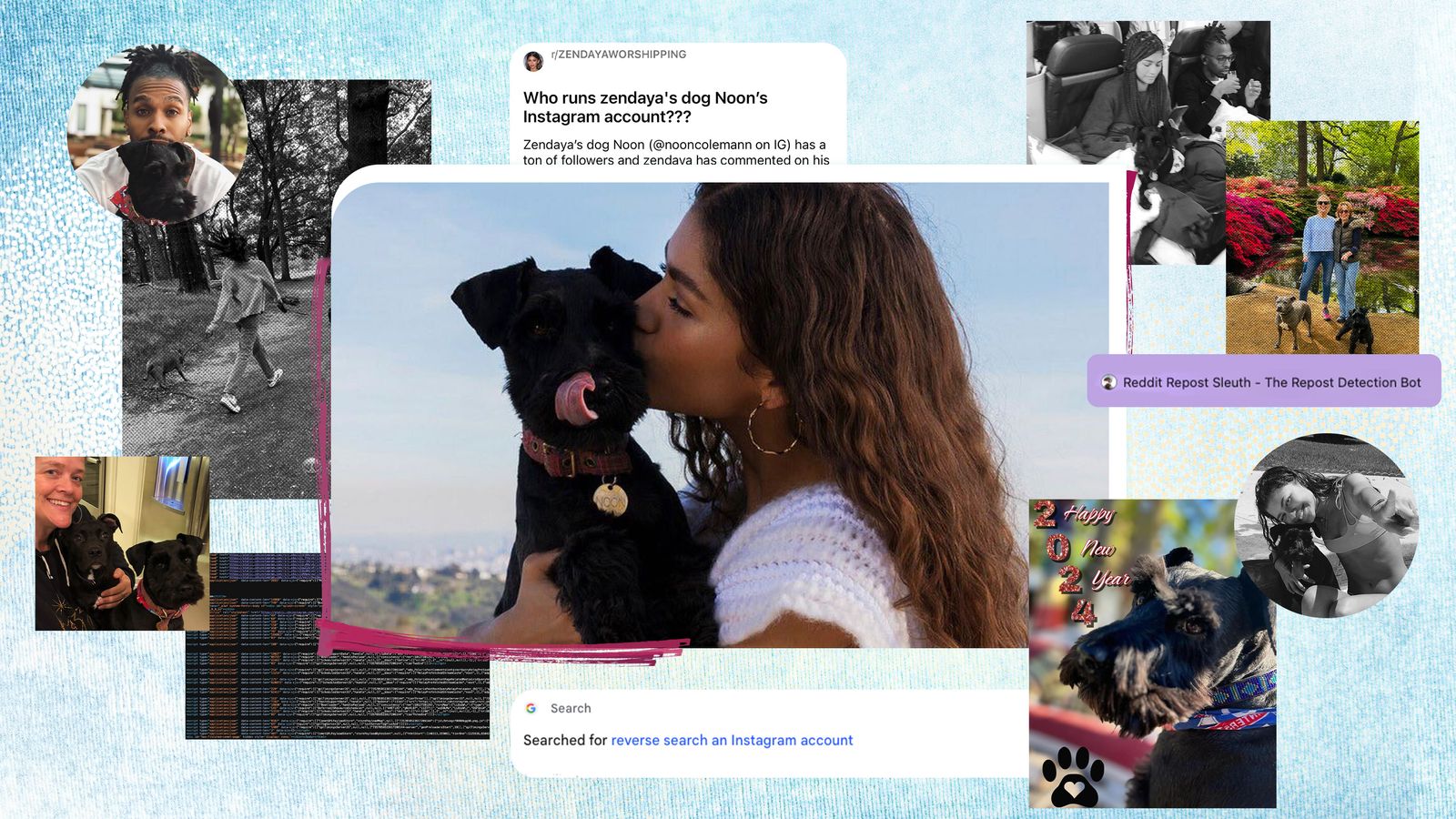 Who Runs @nooncolemann, Zendaya Dog's Instagram? | Marie Claire